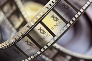 Relationship Types in Primavera P6 Explained - Ten Six