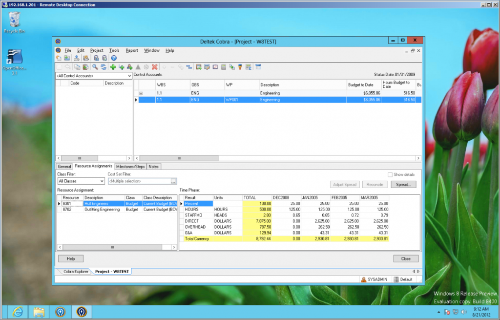 Testing Deltek Cobra 5 in Microsoft Windows 8