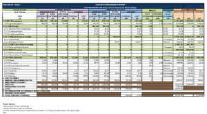 Deltek Cobra Custom CPR Report