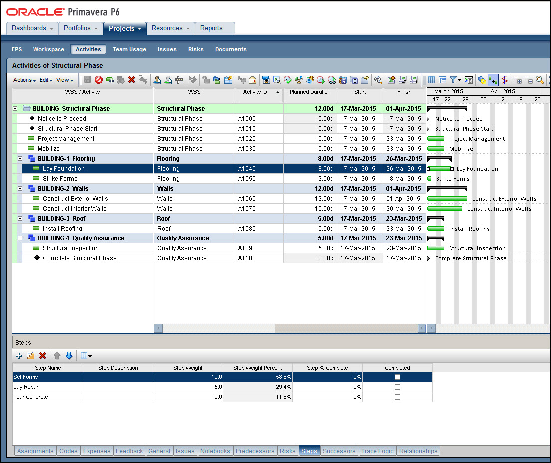 Primavera P6 EPPM Activity Steps Feature