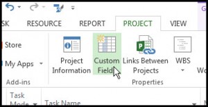 Translating Microsoft Project Custom Fields to Primavera P6