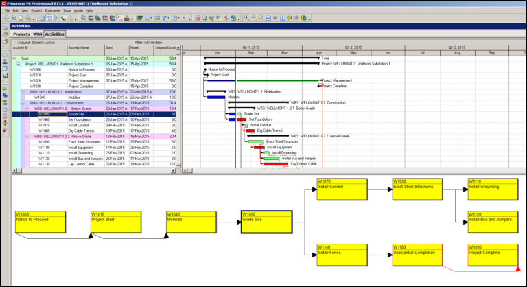 Primavera P6 Professional Trace Logic Feature
