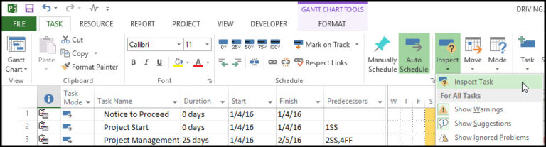 Displaying Driving Tasks in Microsoft Project