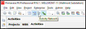 Using Activity Network Diagram Layouts in Primavera P6