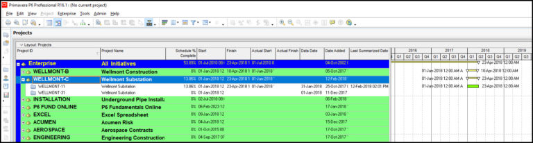 Summarize Your P6 Project in Primavera P6 Explained