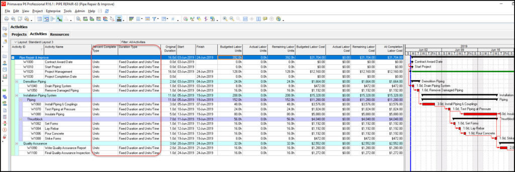 Primavera P6 Cost Plus Contracts - Using P6 For This Type Of Contracts