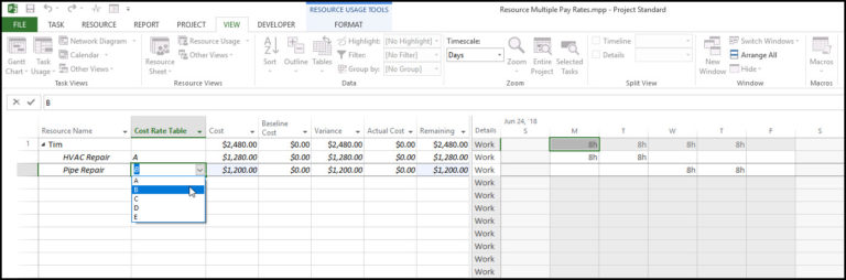 Resources With Multiple Pay Rates In Microsoft Project