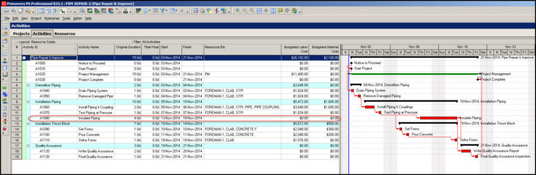 How to Use Primavera P6 Fixed Price Costs - Ten Six