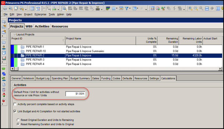 How to Use Primavera P6 Fixed Price Costs - Ten Six