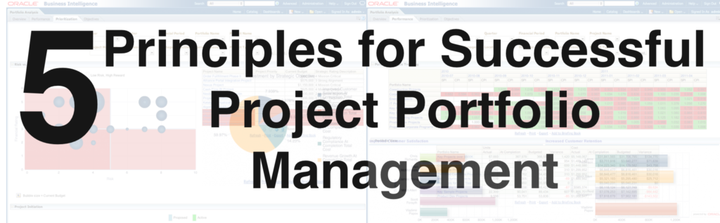 5 Principles for Successful Project Portfolio Management
