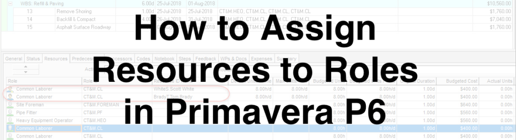 How to Assign Resources to Roles in Primavera P6 - Ten Six Consulting