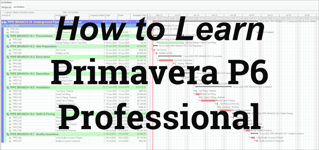 How to Learn Primavera P6 Professional - Ten Six Consulting