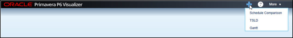 Using Primavera P6 Visualizer Printing Capabilities - Ten Six Consulting