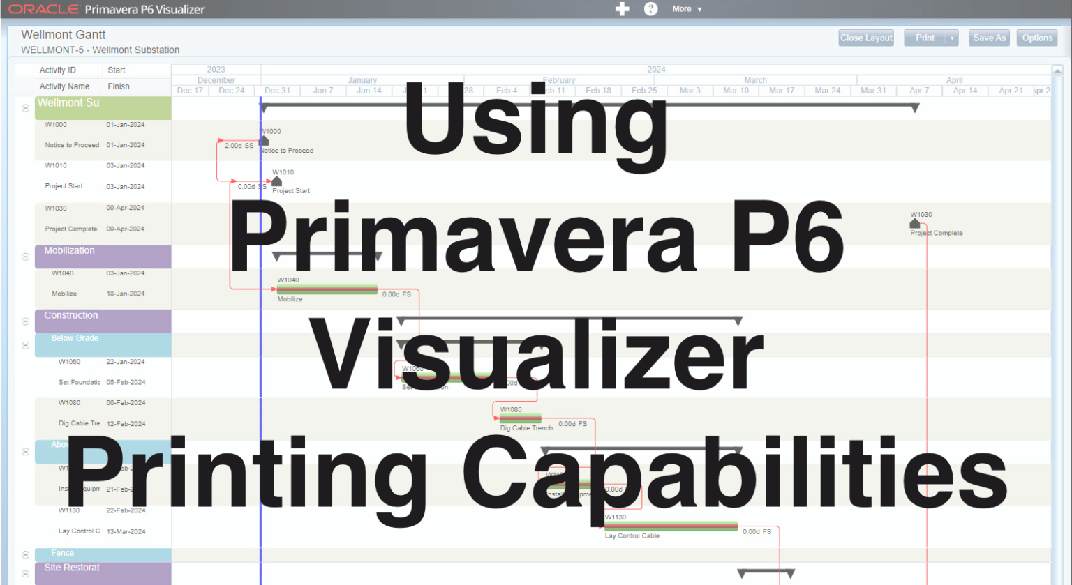 Using Primavera P6 Visualizer Printing Capabilities - Ten Six Consulting
