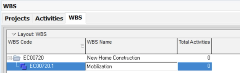 Video - How to Modify the WBS in Primavera P6 - Ten Six Consulting