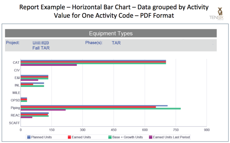 Primavera P6 BI Publisher Services