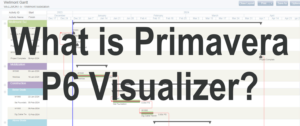 What is Primavera P6 Visualizer? - Ten Six Consulting