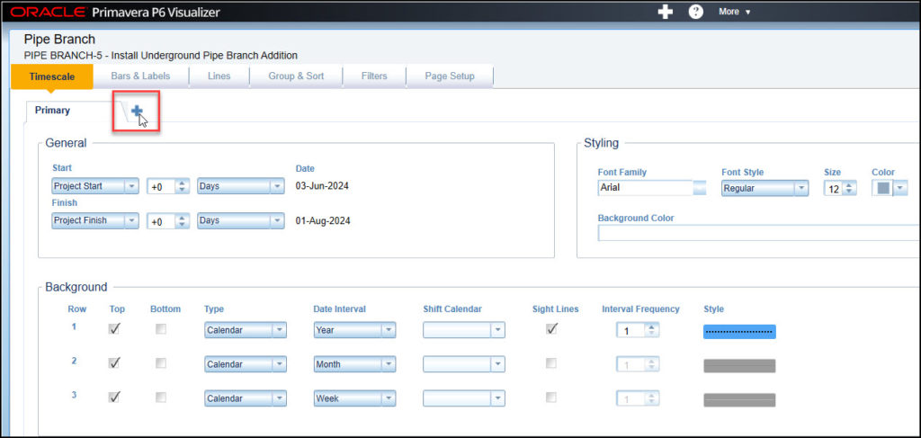 Timescaled Logic Diagrams in P6 Visualizer - Ten Six Consulting