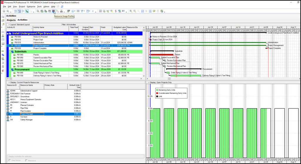 Primavera P6 Level of Effort - Ten Six Consulting