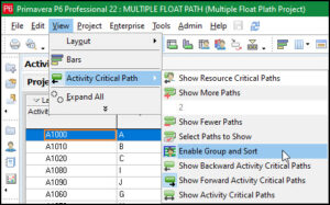 Display More Than One Critical Path in P6 - Ten Six Consulting