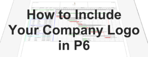 How to Include Your Company Logo in P6 - Ten Six Consulting