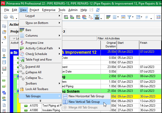 Displaying Gantt Charts Side By Side In P6 - Ten Six
