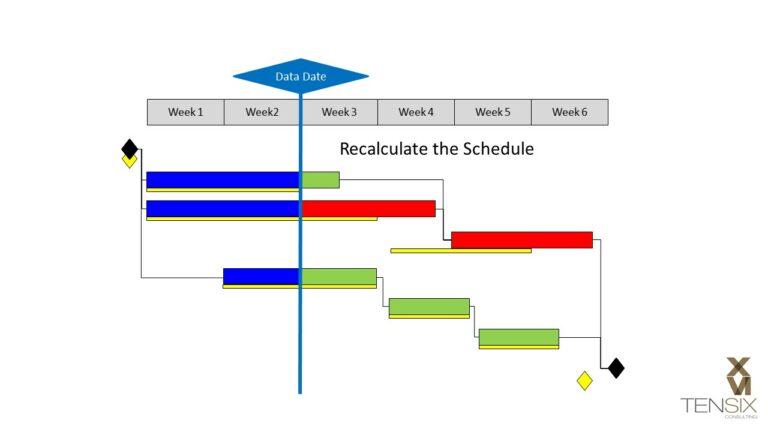 Progressing a Schedule in P6 Professional - Ten Six Consulting