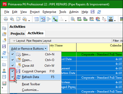 Fill Down and Refresh Operations in P6 - Ten Six