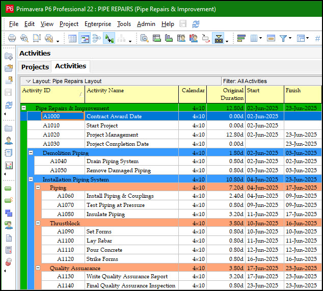 Fill Down and Refresh Operations in P6 - Ten Six