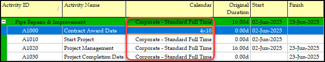 Fill Down and Refresh Operations in P6 - Ten Six