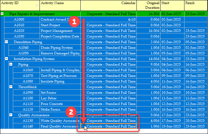 Fill Down and Refresh Operations in P6 - Ten Six