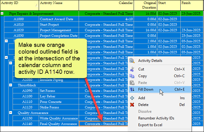 Fill Down and Refresh Operations in P6 - Ten Six