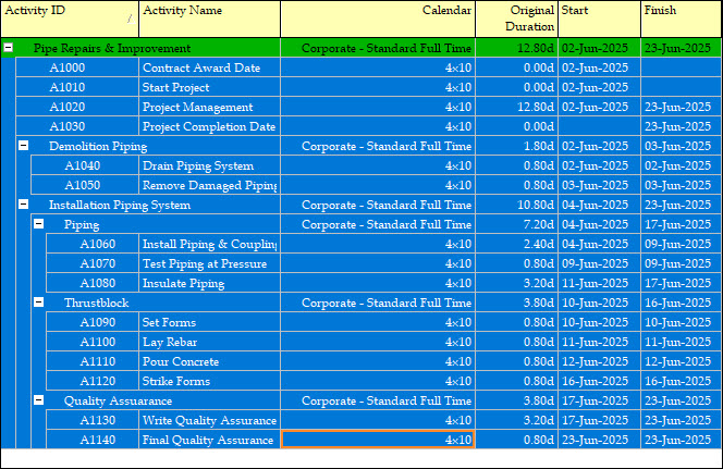 Fill Down and Refresh Operations in P6 - Ten Six