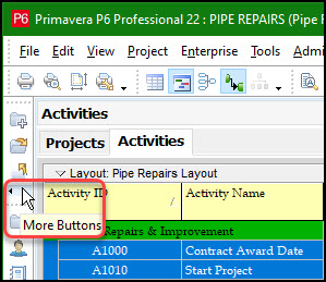 Fill Down and Refresh Operations in P6 - Ten Six