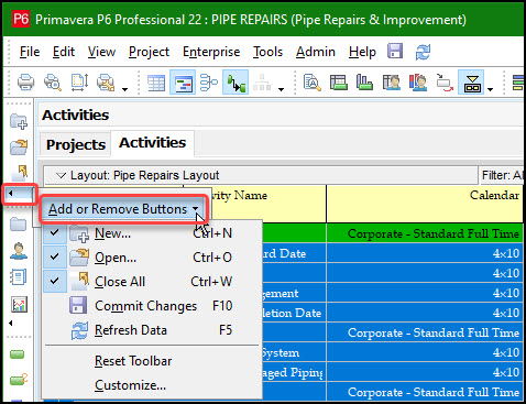 Fill Down and Refresh Operations in P6 - Ten Six