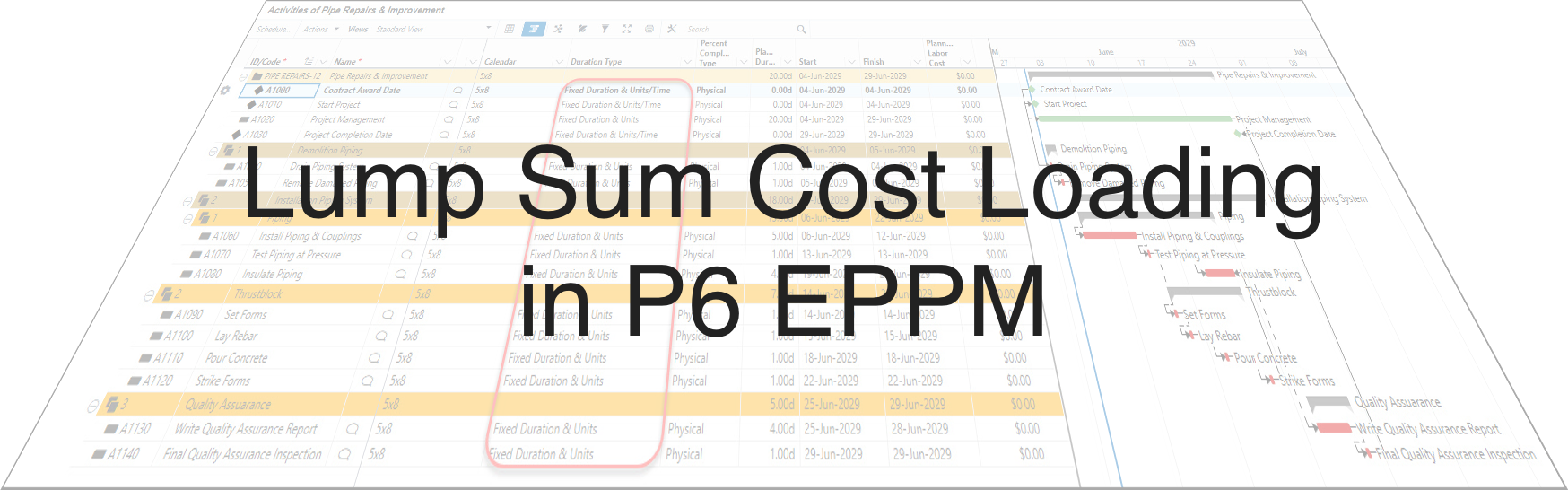 Lump Sum Cost Loading in P6 EPPM - Ten Six