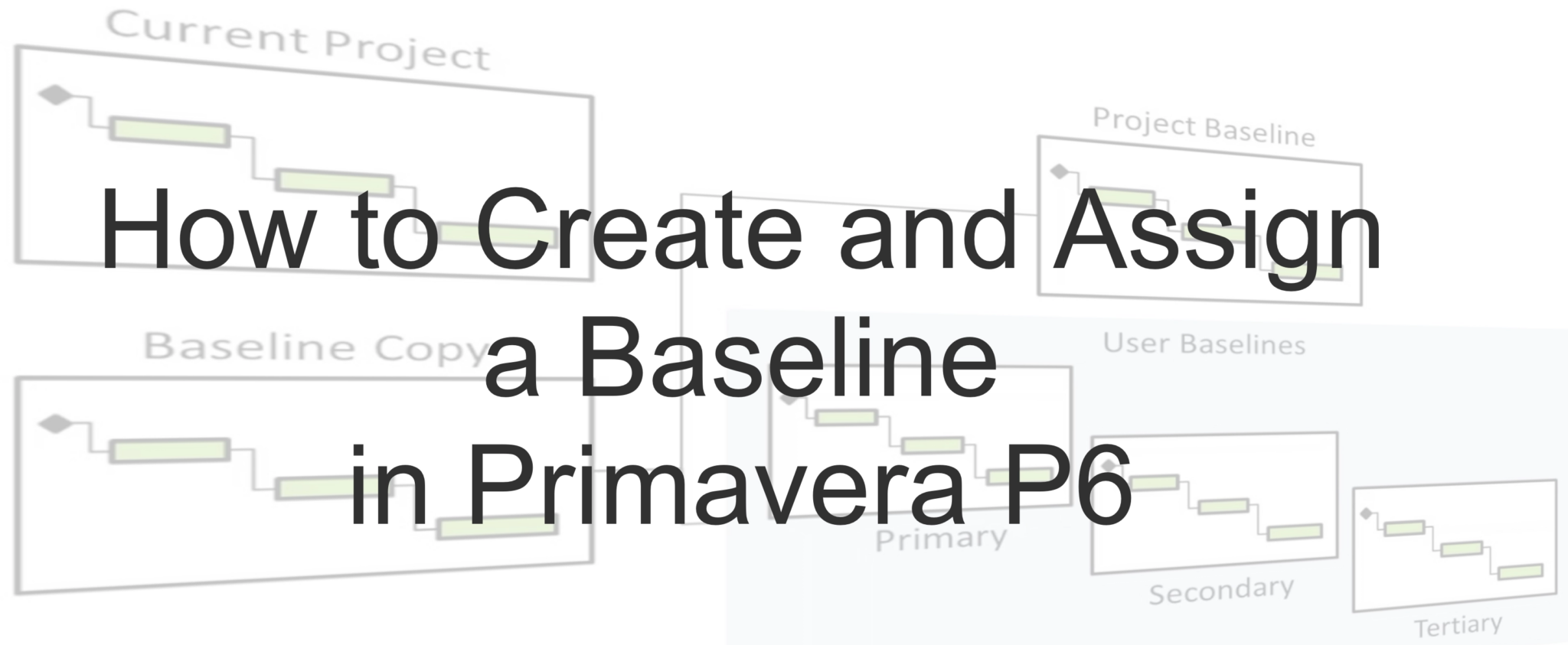 How to Create and Assign a Baseline in Primavera P6 - Ten Six Consulting