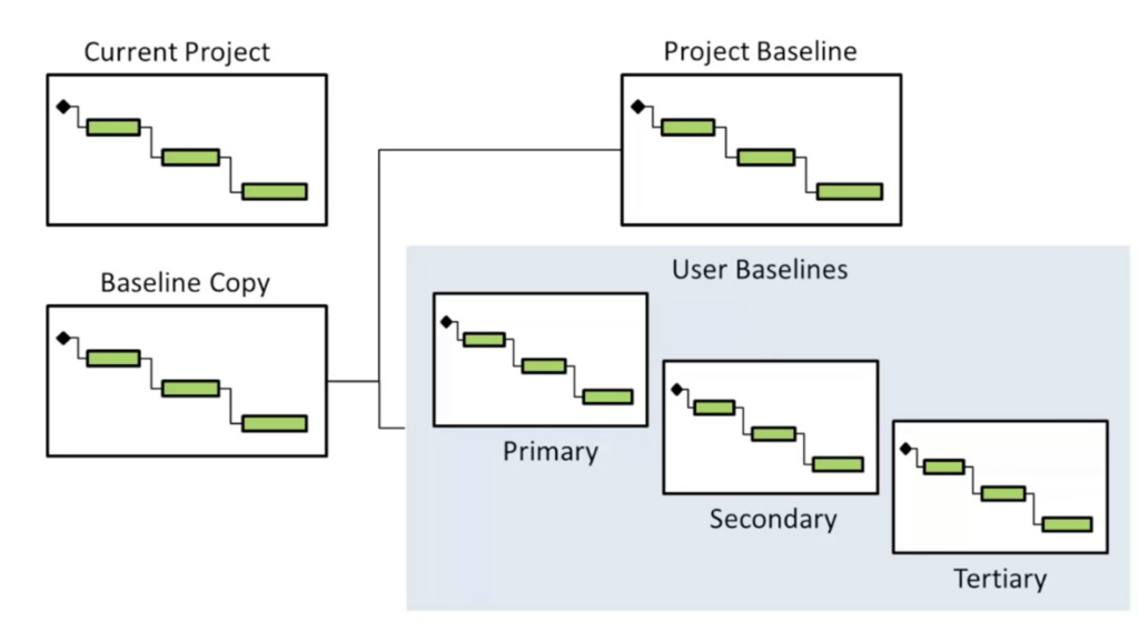 How to Create and Assign a Baseline in Primavera P6 - Ten Six