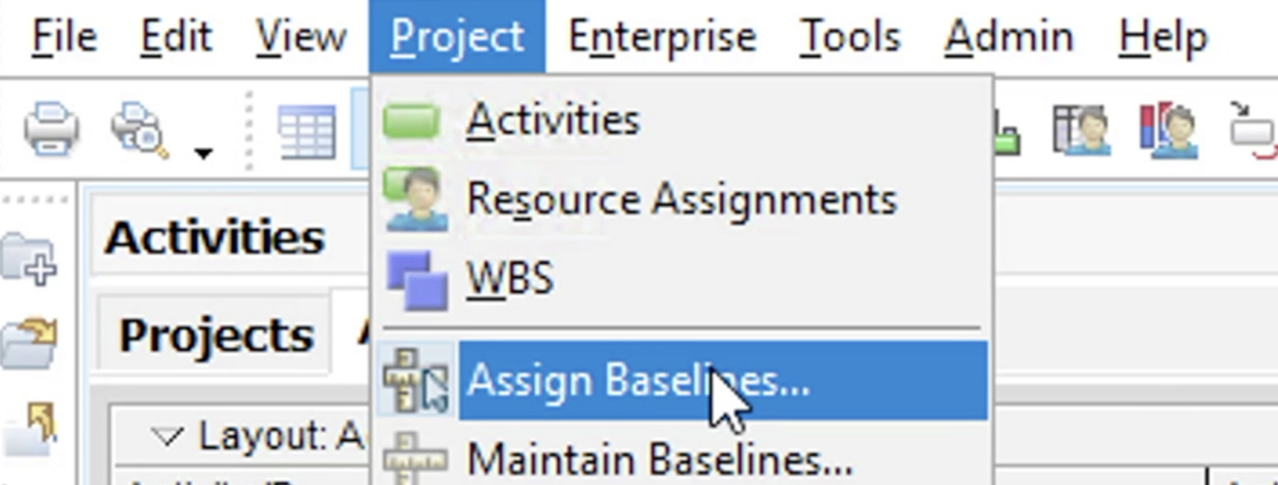 How to Create and Assign a Baseline in Primavera P6 - Ten Six