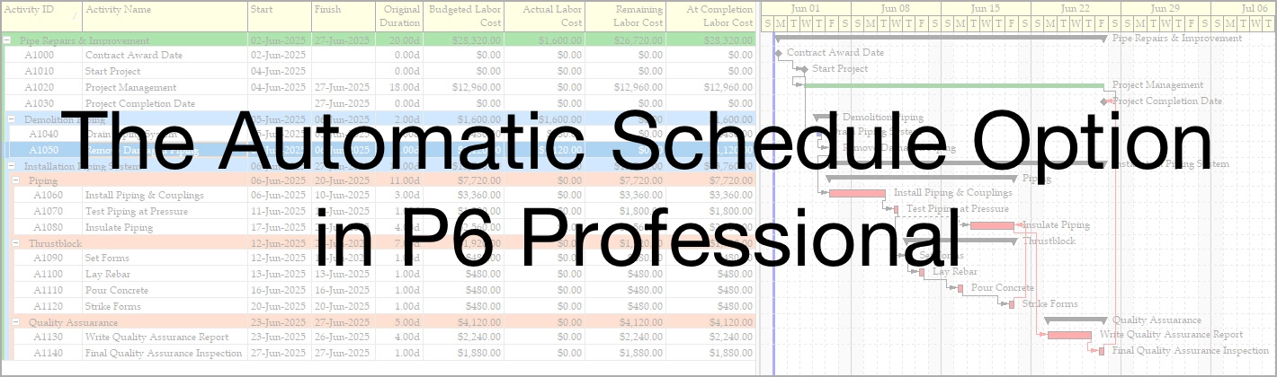 The Automatic Schedule Option in P6 Professional - Ten Six