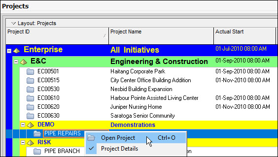 Transfer XER and Project Layout Files in P6 Professional - Ten Six