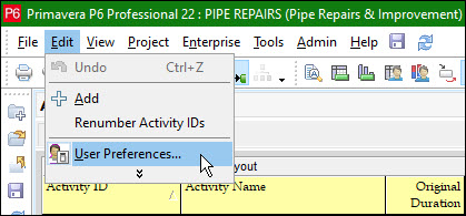 Transfer XER and Project Layout Files in P6 Professional - Ten Six
