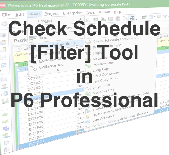 Check Schedule Filter Tool in P6 Professional - Ten Six