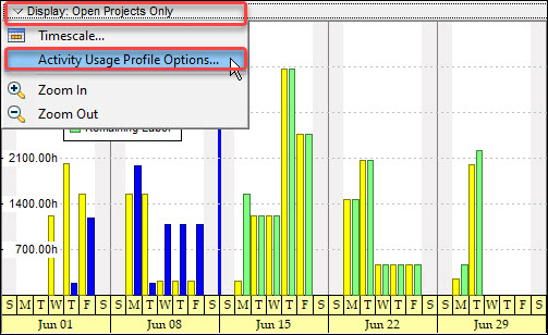 The Activity Usage Profile Tool in P6 Professional - Ten Six