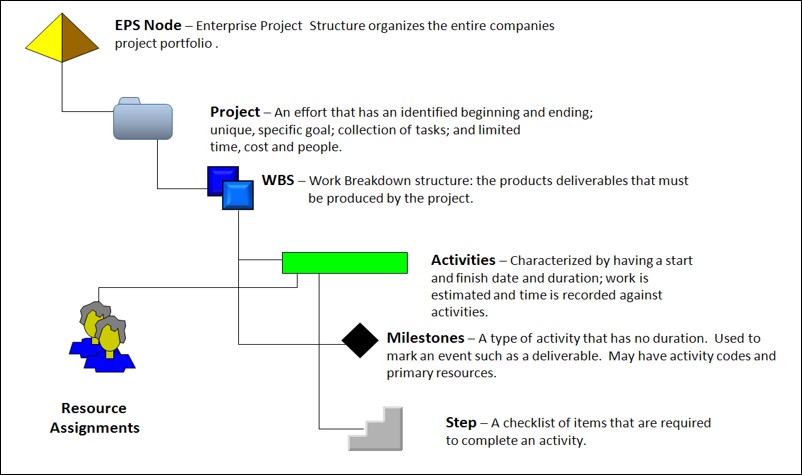 Adding a New User in P6 Professional - Ten Six