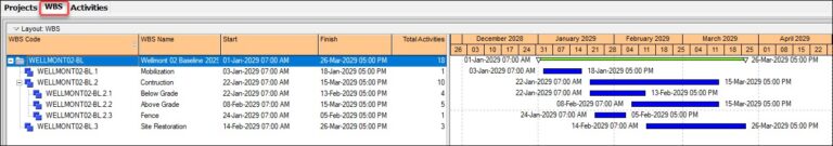 New P6 Baseline Update Preview Feature - Ten Six
