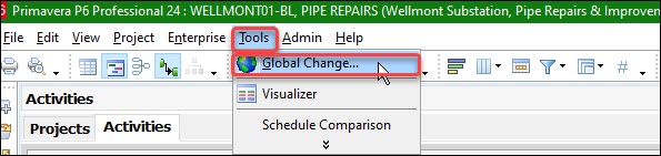 New Global Change Report Feature in P6 - Ten Six