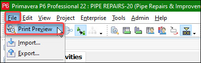 Sizing the Activity Table for Printout in P6 Professional - Ten Six