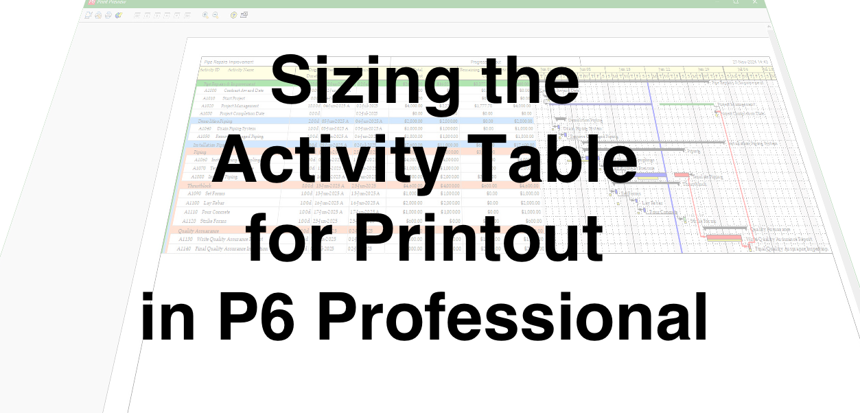 Sizing the Activity Table for Printout in P6 Professional - Ten Six