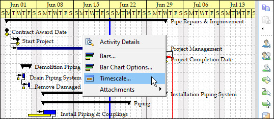 Sizing the Gantt Chart for Printout in P6 Professional - Ten Six